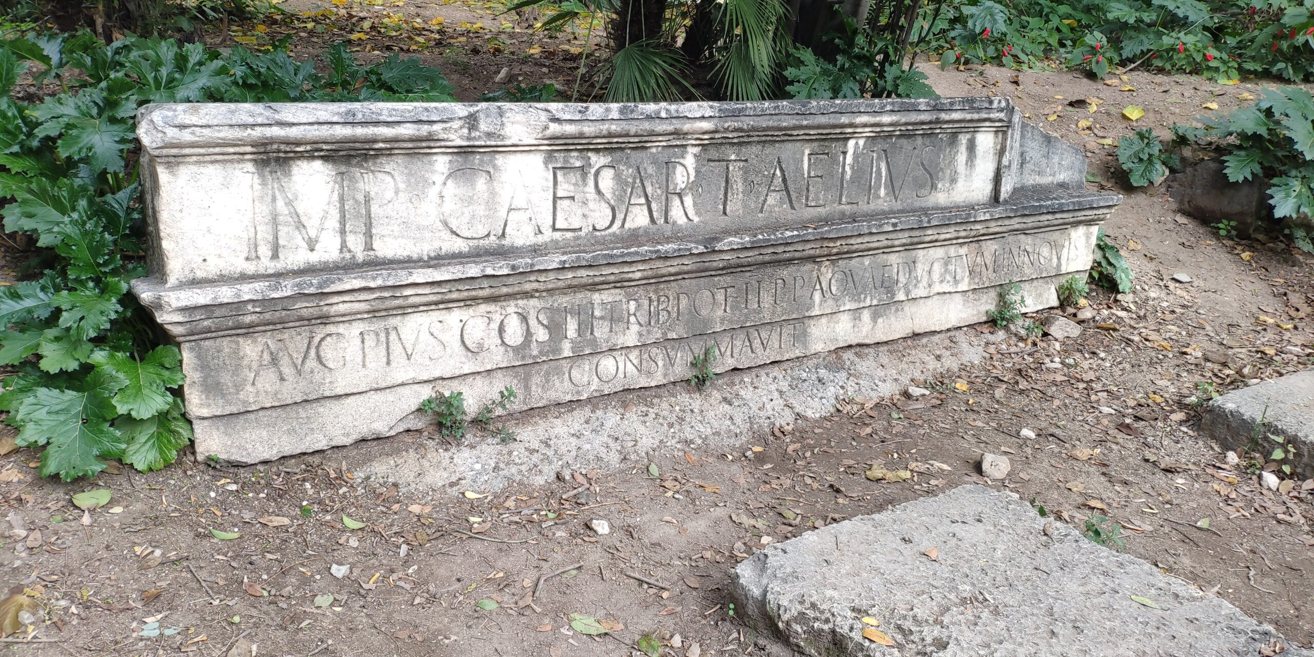 National Garden - Εθνικός Κήπος - Μητροπολιτικό Πράσινο Α.Ε.